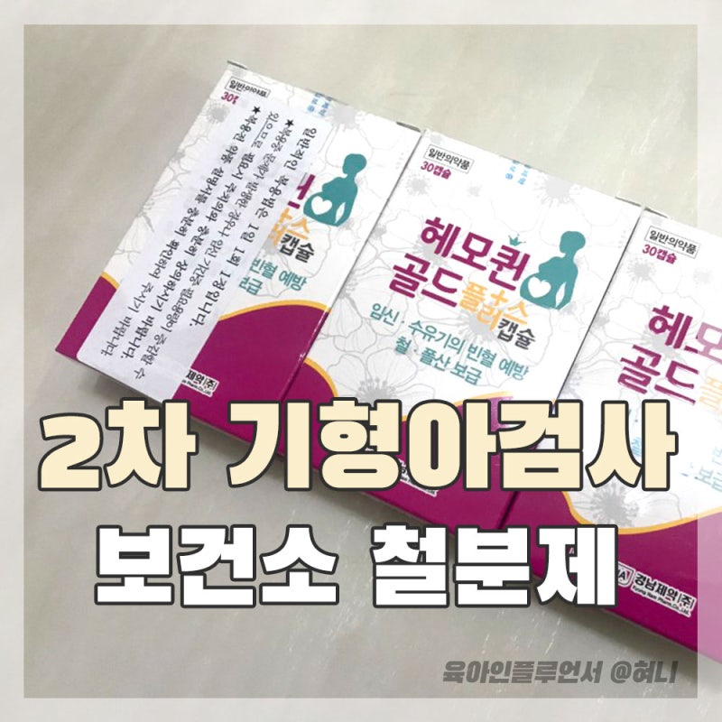 임신 17주 2차 기형아검사 시기 비용 결과 임산부 보건소 철분제 받기 네이버 블로그
