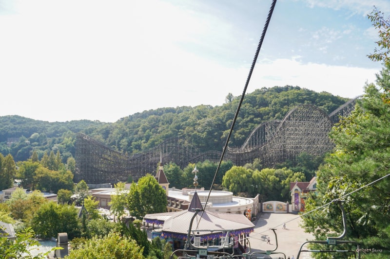 용인 에버랜드 큐패스 사파리 예약 방법ft야놀자 단독 구매 할인 네이버 블로그