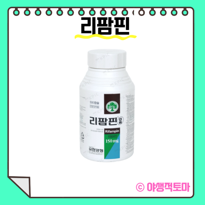 잠복결핵 개념 원인 증상 검사 양성 치료 잠복결핵 감염 검진 지원 사업 네이버 블로그