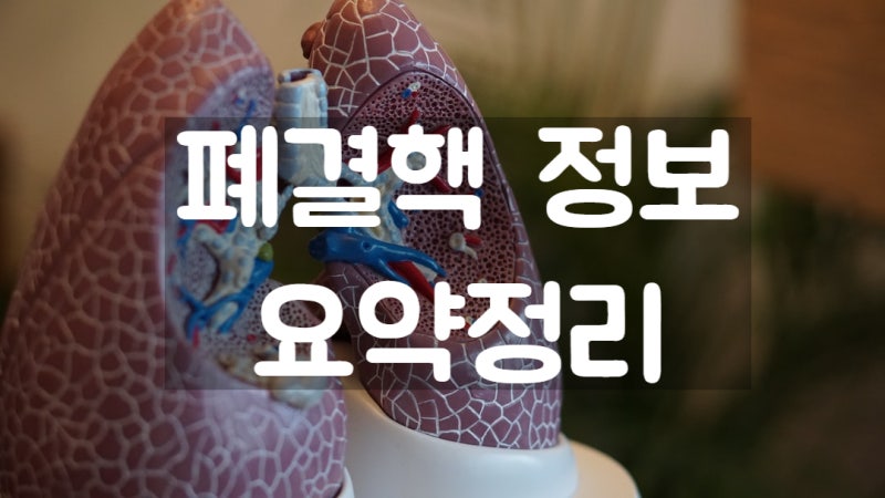 요약정리 공유 폐결핵 질환의 병태 생리적 기전 및 진단 간호 치료 질병 과제 네이버 블로그