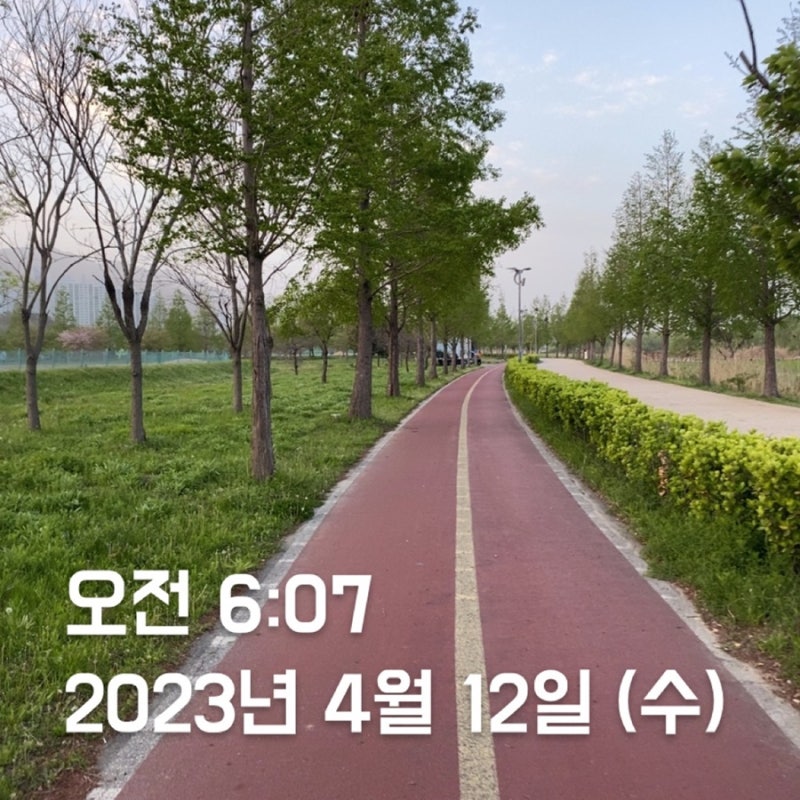 여자 남자 뱃살 빼는 운동 추천 방법 아침 공복 유산소 하루 만보 걷기 계단 오르기 운동기구 스텝밀 뱃살빼는법 효과