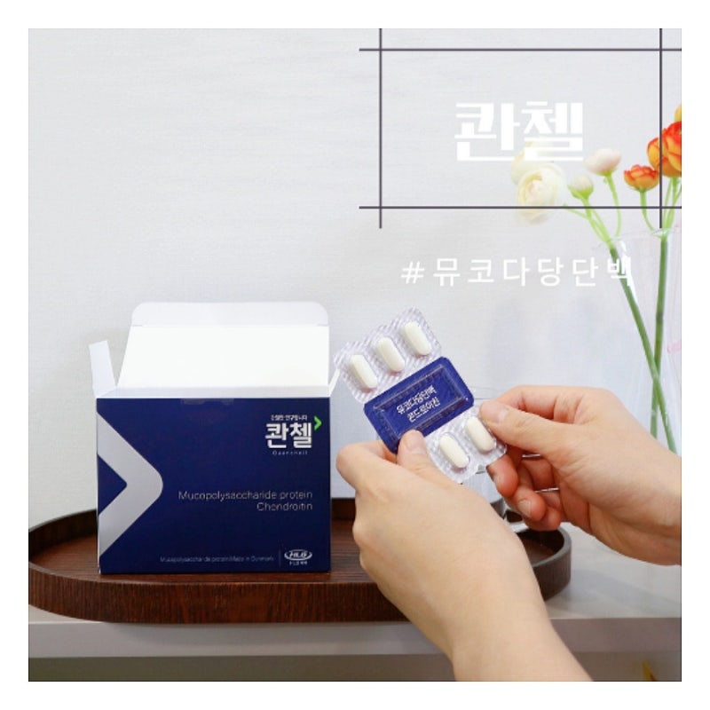콴첼 뮤코다당단백 철갑상어 콘드로이친 매일 챙기는 관절 건강습관 네이버 블로그