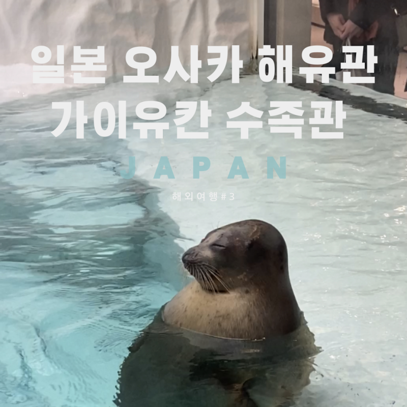 일본여행 오사카 최대 규모 수족관 고래상어🐋가 있는 일본 가이유칸해유관 즐기기 티켓예매방법 소요시간 정보 후기 네이버 블로그