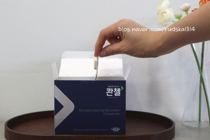 콴첼 뮤코다당단백 철갑상어 콘드로이친 매일 챙기는 관절 건강습관 네이버 블로그