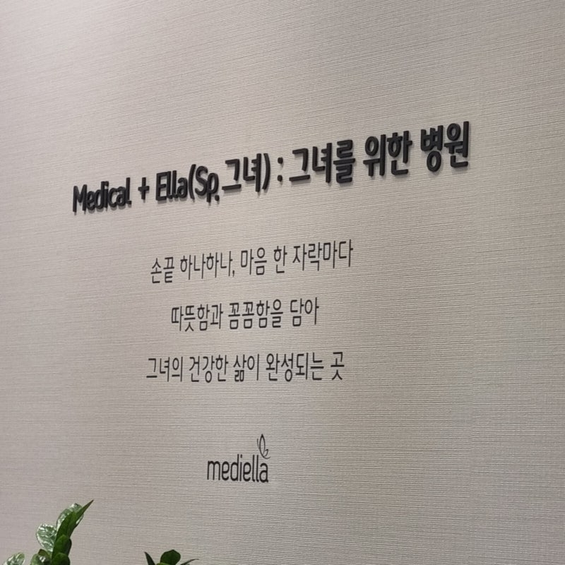 자궁경부암 검사 재검 결과 저등급편평상피내병변 네이버 블로그