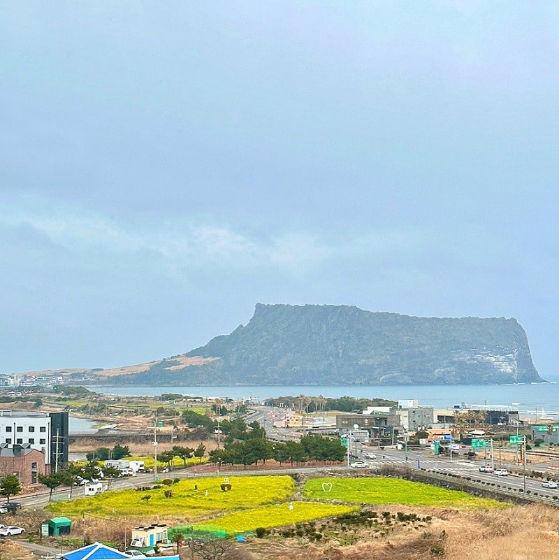 제주 동쪽 호텔 골든튤립성산 디럭스킹 오션뷰 성산일출봉 숙소 네이버 블로그