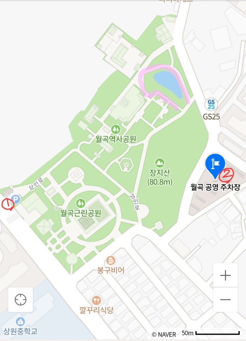 월곡역사공원 2023 개화상태 주차안내대구 겹벚꽃명소 네이버 블로그