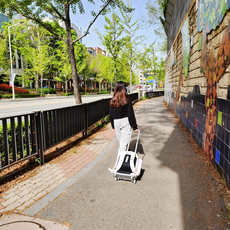 고학년책가방 초등학생이 사용하기 좋은 바퀴달린 가방 롤린 프리틴 캐리어 백팩 : 네이버 블로그