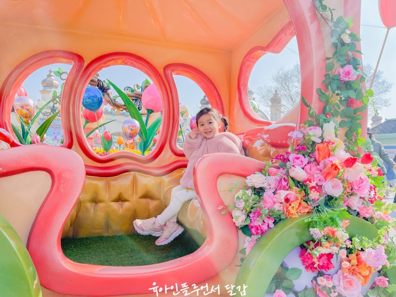 용인 에버랜드 할인방법 자유이용권 가격 사파리 큐패스 예약 불꽃놀이 시간 네이버 블로그