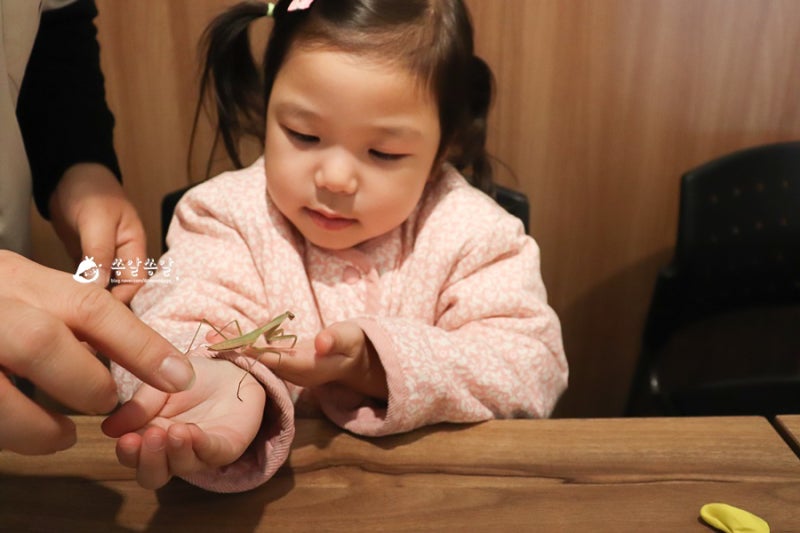 김포 곤충체험 농장 꿈꾸는파브르 2시간 순삭 네이버 블로그