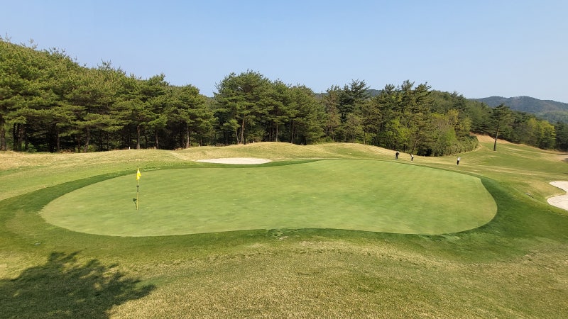 삼척 파인밸리cc 영이사랑이 울고왔던 골프장 : 네이버 블로그