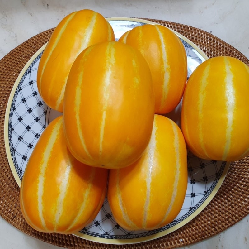 아삭아삭 성주 꿀참외 아기와 함께 냠냠 네이버 블로그