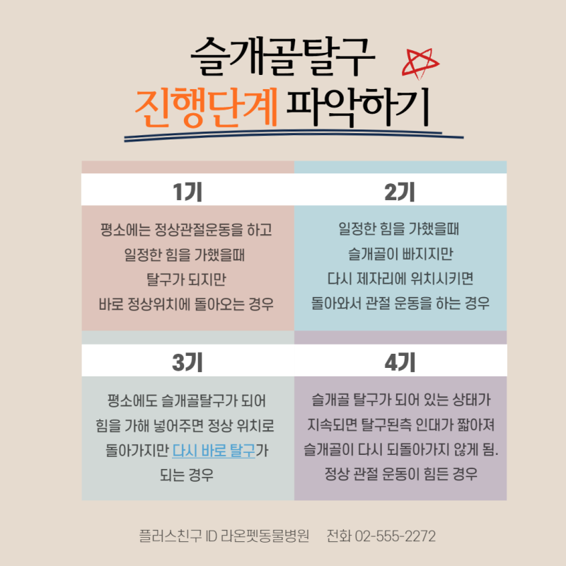 강아지 슬개골 탈구 증상과 3기 수술 십자인대 수술 비용 과정 네이버 블로그