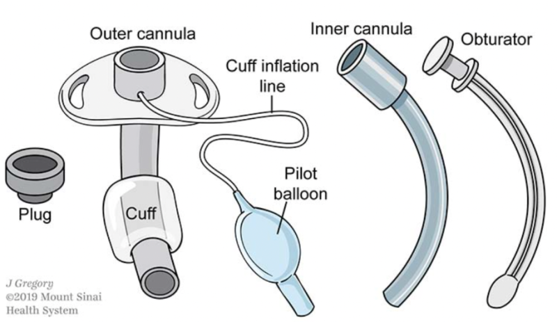 [If you're a SLP,] 기관절개관 T-tube; tracheostomy tube : 네이버 블로그