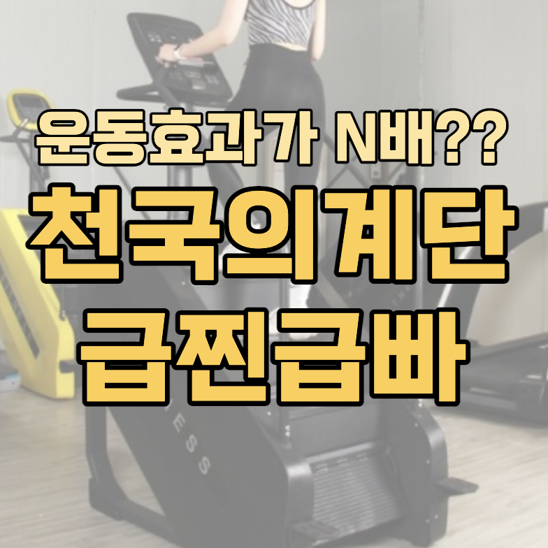 천국의계단 운동기구 효과 칼로리 사용법 한번에 정리 네이버 블로그