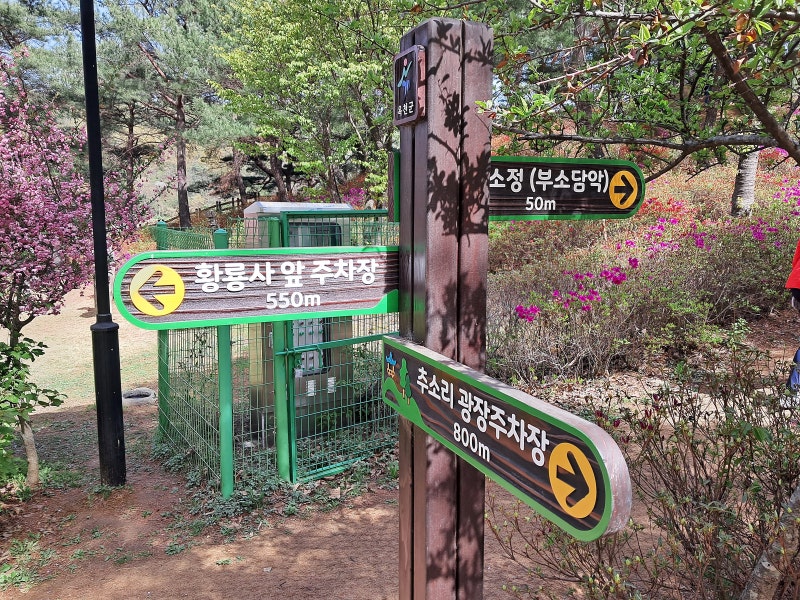 대청호 오백리길 7구간 옥천 부소담악 둘레길 추소정 탐방 네이버 블로그