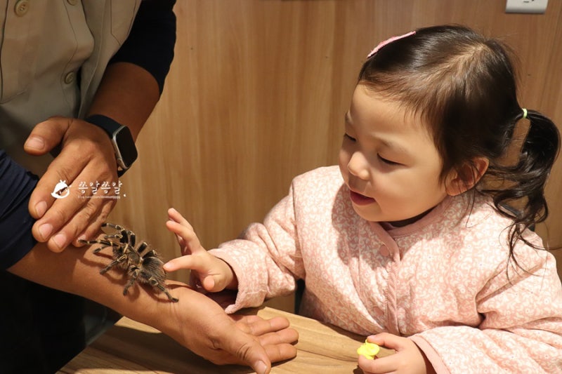 김포 곤충체험 농장 꿈꾸는파브르 2시간 순삭 네이버 블로그
