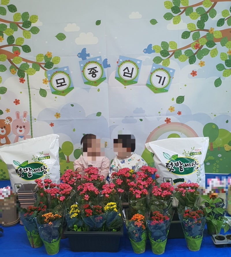 어린이집 행사 모종심기 꽃 심기 식목일 포토존 : 네이버 블로그