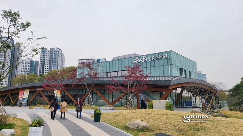 서울근교 수원 영흥숲공원 영흥수목원 5월 개장 4월 입장료 주차장 주차료 무료 네이버 블로그