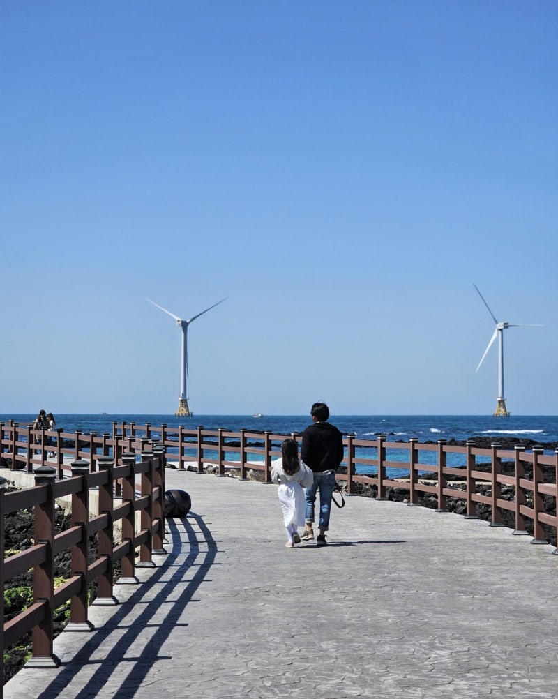 제주 서쪽 여행 코스 제주도 신창풍차해안도로 싱계물 공원 네이버 블로그