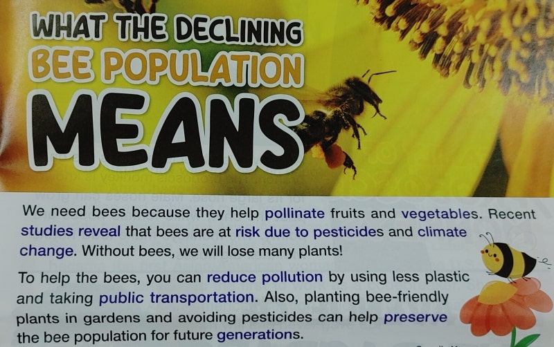 The Declining Bee Population : 네이버 블로그