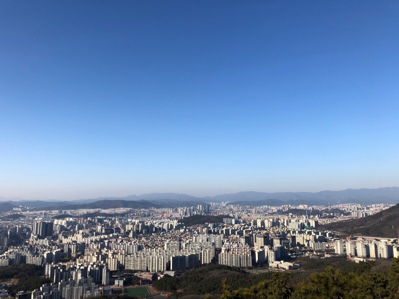 대구아파트경매 계산동 신성미소시티주상복합 경매 네이버 블로그