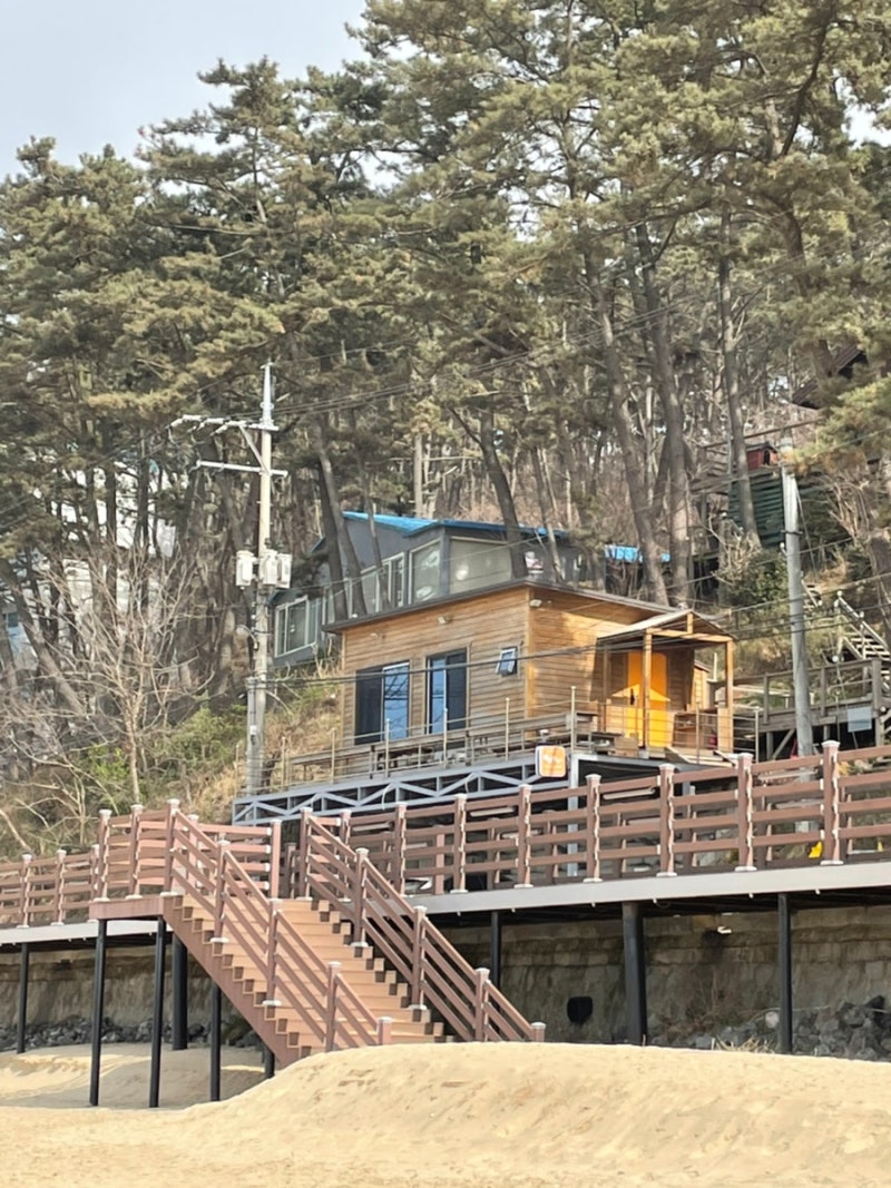 태안 만리포 오션뷰 애견동반숙소 레오민박 네이버 블로그