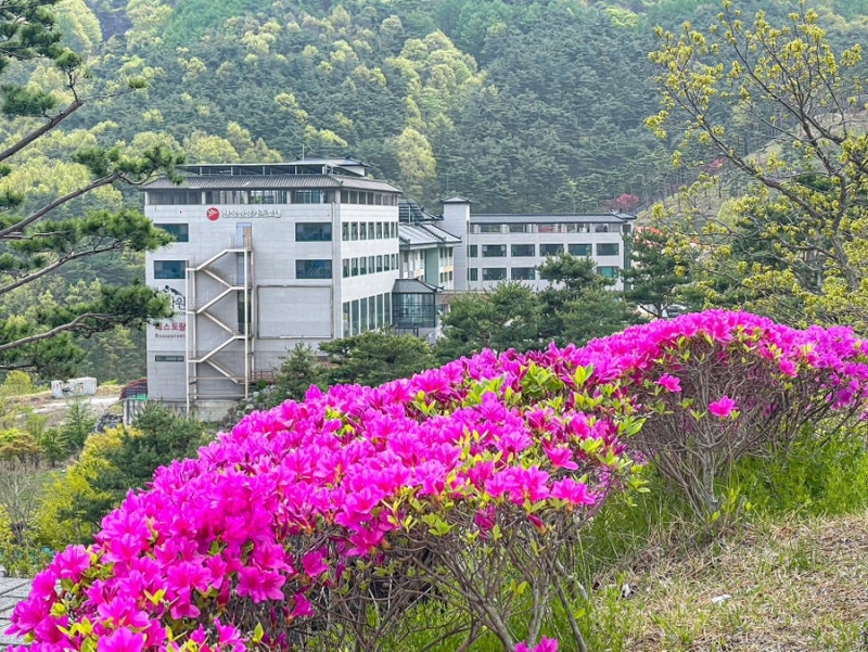 경남 산청한방가족호텔 동의보감촌 숙소 조식 솔직후기 네이버 블로그