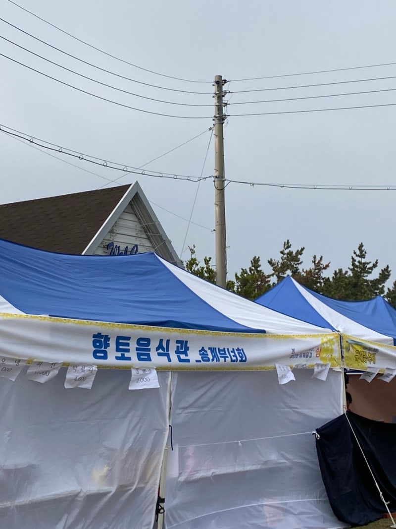 무안 가볼만한 곳 ‘무안 도리포 유채꽃 축제‘ 후기 주차 먹거리 서이추환영 네이버 블로그