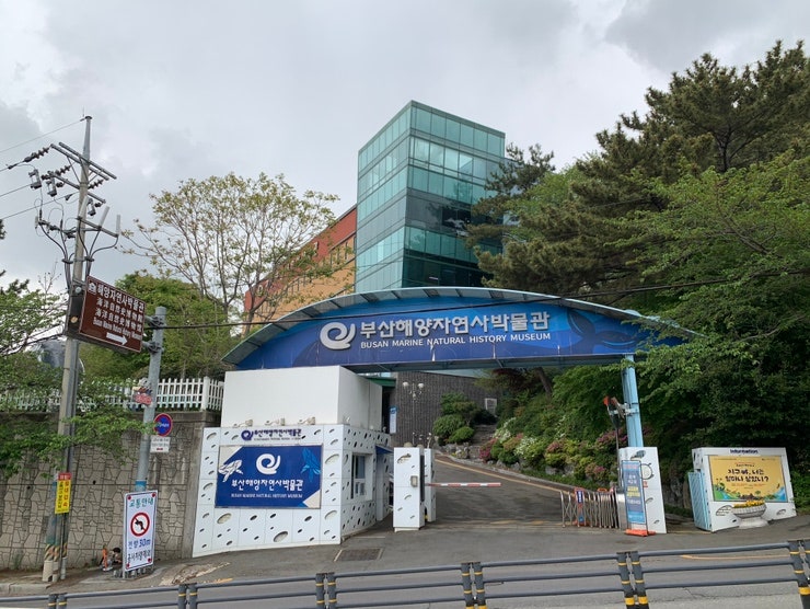 부산 해양자연사박물관 거북이 악어 볼 수 있는 실내 체험도 산책도 좋았던 곳 네이버 블로그