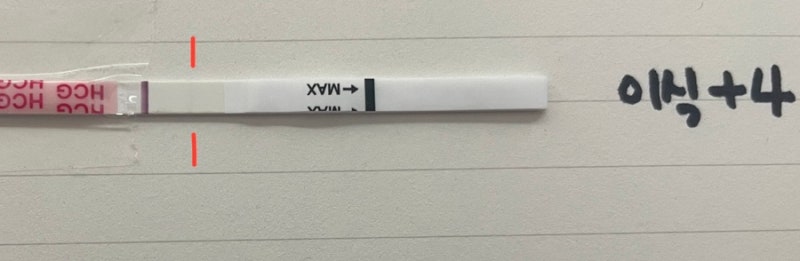 기다림일기14 동결2차5일배양 4일부터 두줄 임테기 Ivf C5000난포주사주사 10일차 영향여부 네이버 블로그