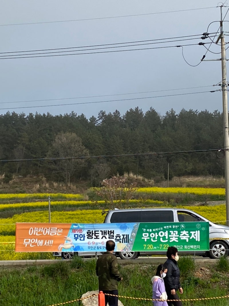 무안 가볼만한 곳 ‘무안 도리포 유채꽃 축제‘ 후기 주차 먹거리 서이추환영 네이버 블로그