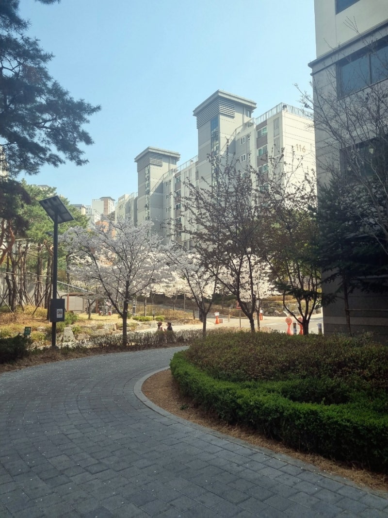 왕십리 뉴타운 임장 센트라스 텐즈힐 1단지 2단지 네이버 블로그
