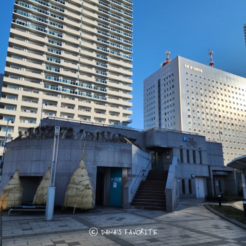 2023 삿포로 비에이 버스투어 패치워크로드 비에이역 다이마루 크리스마스 트리 탁신관 자작나무 숲 청의 호수