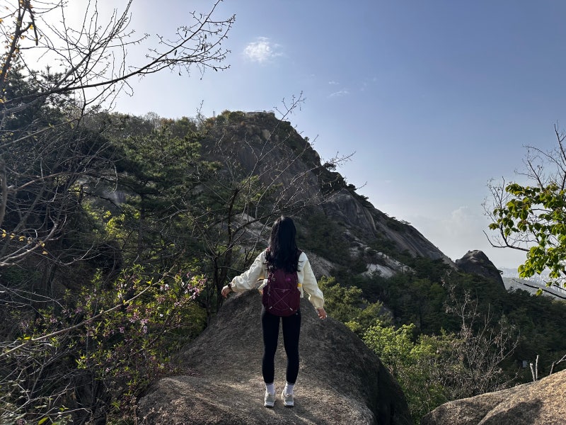 서대문 안산 자락길 코스 독립문역 출발 Feat페이퍼백 쉐이크 병아리콩으로 건강한 하루 네이버 블로그