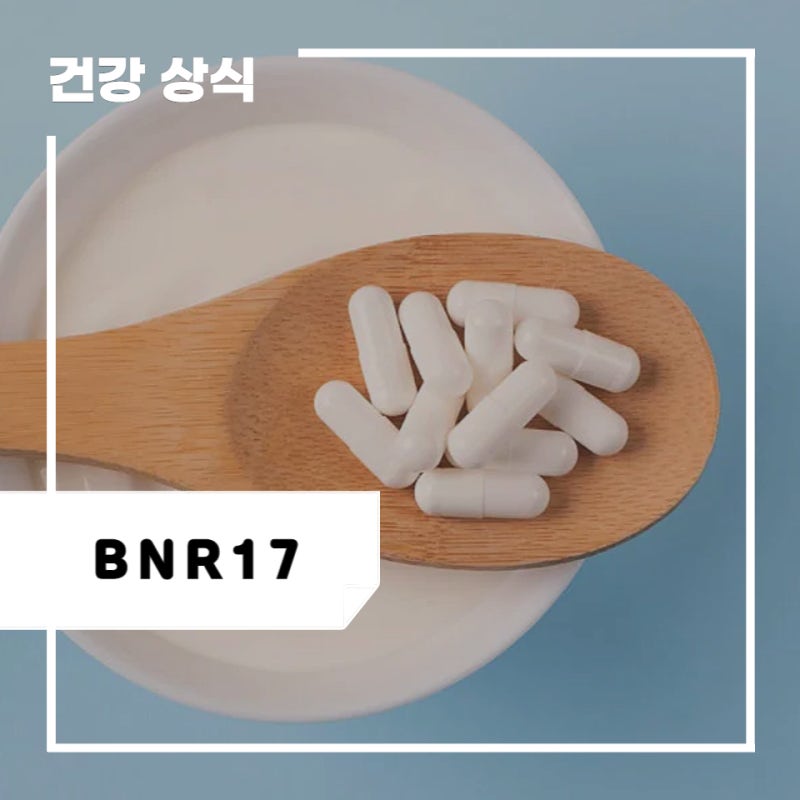 다이어트 유산균 Bnr17 유산균 분말 가루 추천 및 효능 부작용 락토바실러스 가세리 모유 유래 유산균 Bnr17비에날