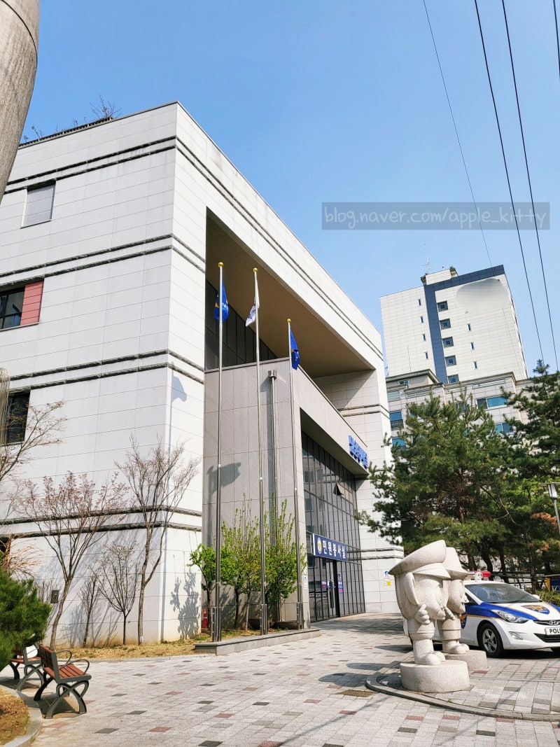 국제운전면허증 발급 정보 총정리 발급처 준비물 비용 소요시간 유효기간 네이버 블로그
