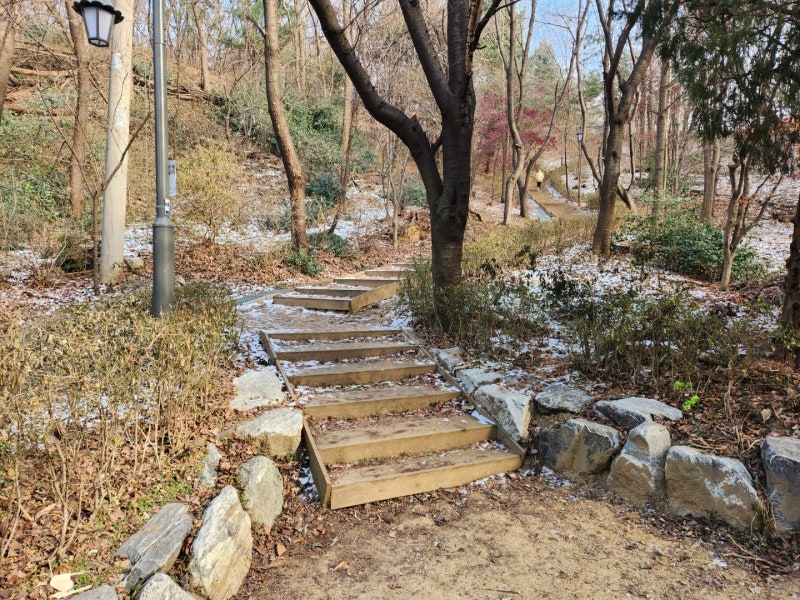 서래마을 대형빌라 전세 청광아트빌라 10차계약완료 네이버 블로그