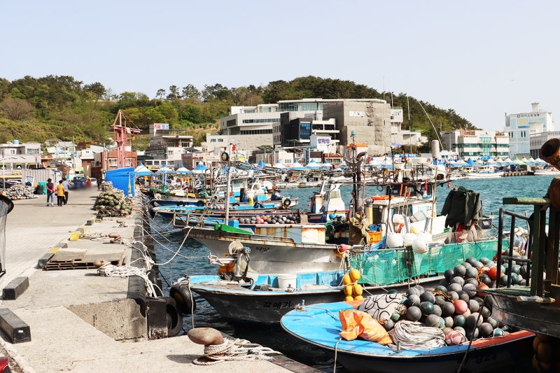 부산기장가볼만한곳 다시 열리는 기장멸치축제 그리고 기장맛집추천은 어디 네이버 블로그