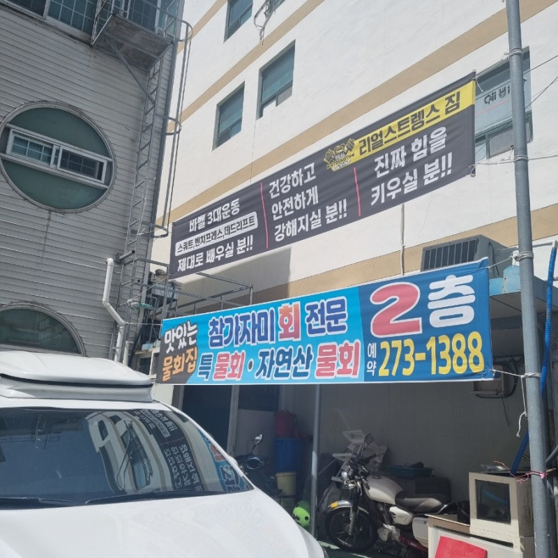 포항 이동 물회맛집 40년전통 자연산 참가자미 제일회타운 네이버 블로그