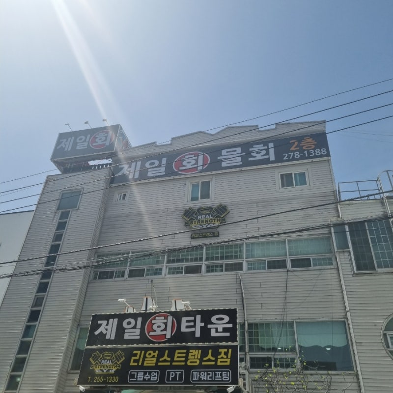 포항 이동 물회맛집 40년전통 자연산 참가자미 제일회타운 네이버 블로그
