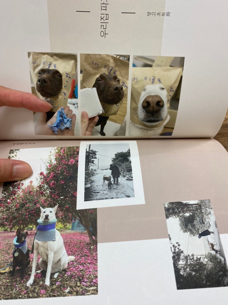 추억기록 아날로그 사진책 만들기 스냅스 포토북 네이버 블로그