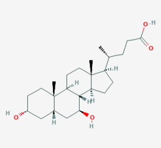 우루사 종류별 약국 약 가격 효과 성분 부작용 복합 대웅 100mg 연질캡슐 네이버 블로그