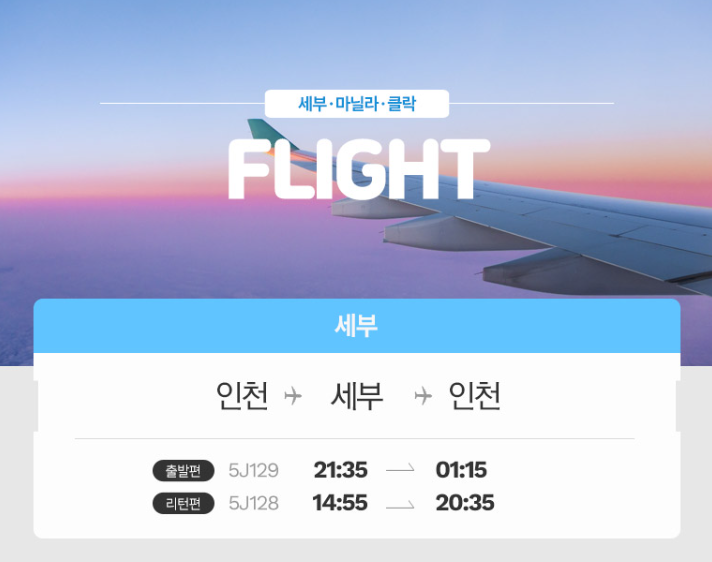 필리핀 세부 보홀 여행준비(2) : 세부퍼시픽 왕복 항공권 23만원 구매 (feat. 공홈 20kg 위탁수화물 추가방법 ...