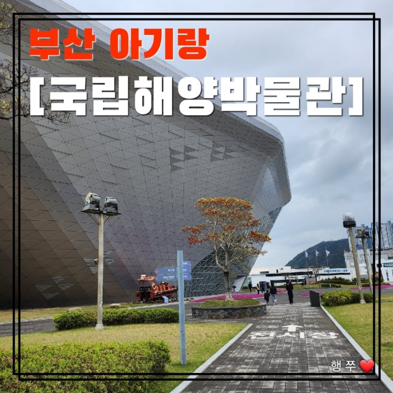 부산 영도 아기랑 비올때 갈만한 국립해양박물관 체험학습 1탄 주차요금유모차수유실어린이박물관 네이버 블로그