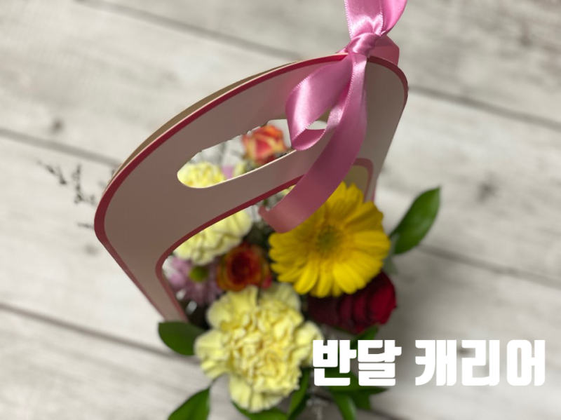 프롬숲 L 어버이날카네이션어린이집어버이날활동유치원어버이날활동카네이션꽃카네이션키트어버이날꽃활동원예프로그램원예활동