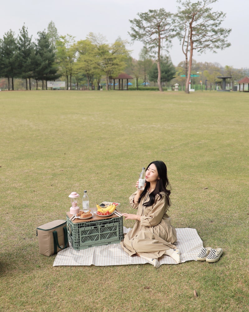 피크닉 갈때는 제로슈거 새로 소주 페트로 간편하게 네이버 블로그