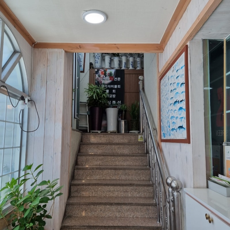 포항 이동 물회맛집 40년전통 자연산 참가자미 제일회타운 네이버 블로그