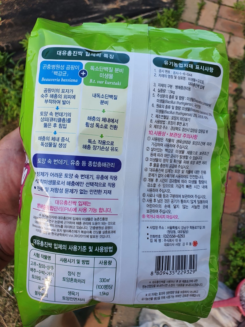 고추심는시기 모종심기 물주기 고추꽃 곁순 제거 진딧물 벌레 농약 키우기 네이버 블로그