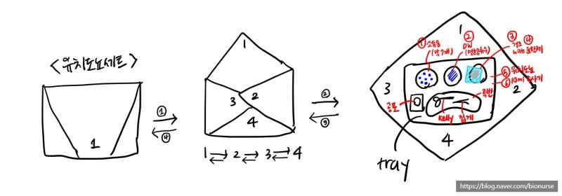 핵심 술기 유치도뇨 술기대사 네이버 블로그